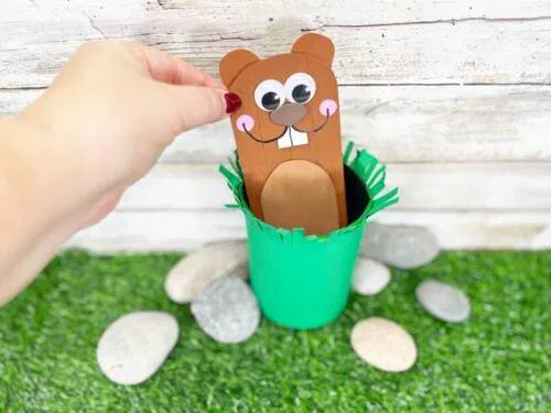 Dollar Tree Groundhog Craft