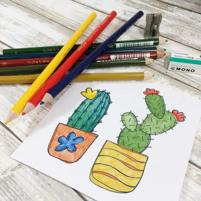 How to Draw Succulents with a FREE Printable