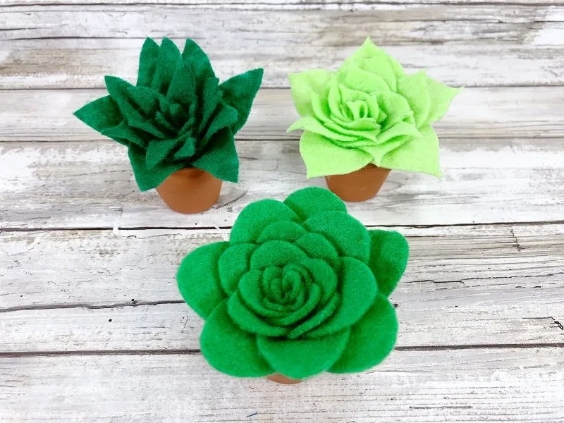 DIY Felt Succulent Trio with Free Patterns Finished Creatively Beth ...
