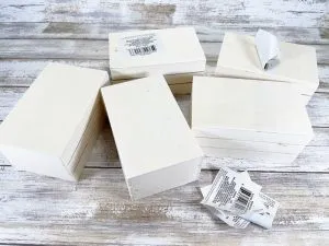 Dollar Tree Mini Crate Storage Organizer for Crafts